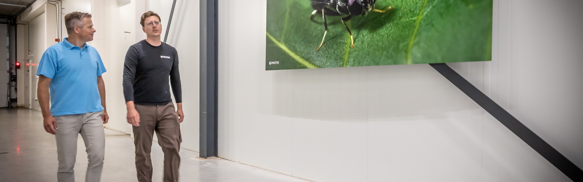 Protix, circular front runner in the greenfields of insect-based ...