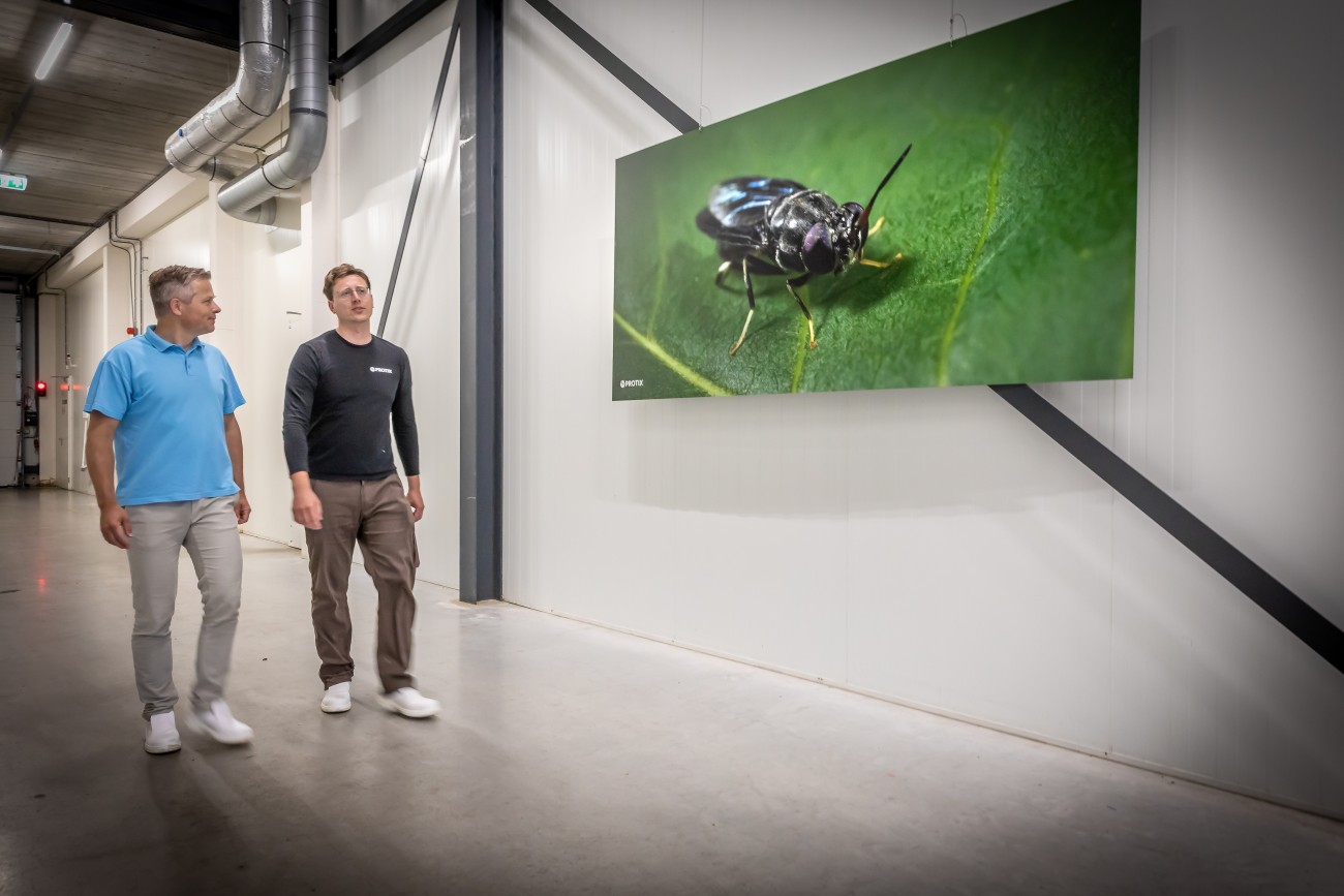 Protix, circulaire koploper op het gebied van duurzame voeding op basis ...